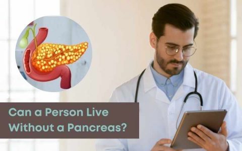 Can Person live without a Pancreas? Dr. Nilesh Chordiya
